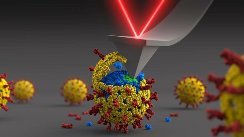 Los 10 virus más mortales de la historia - Quo