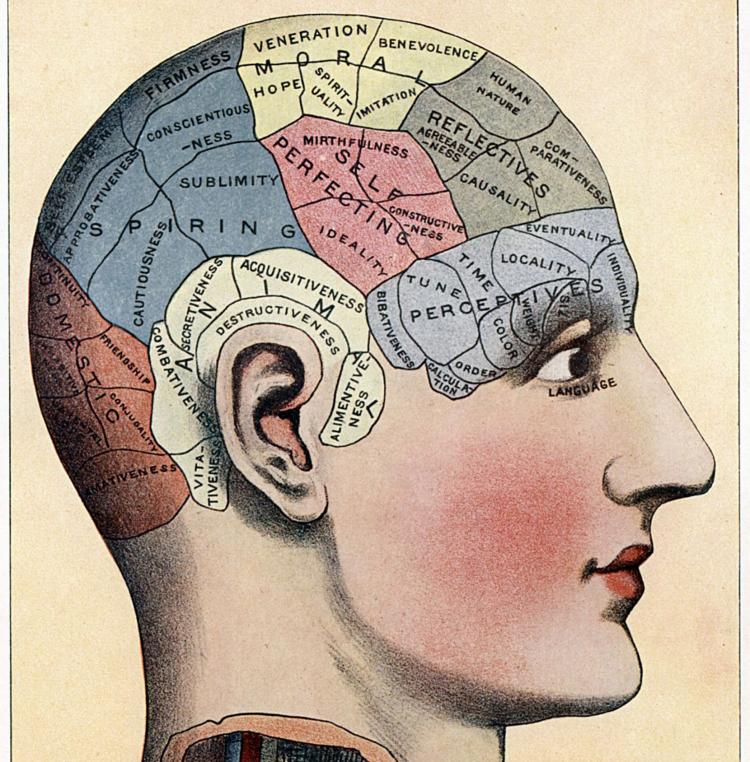 La Memoria Humana Mind Map La Memoria Humana Mind Map
